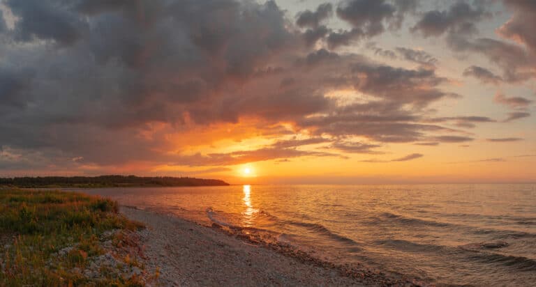 Bay City State Park & Tobico Marsh: 8 Best Things to Know